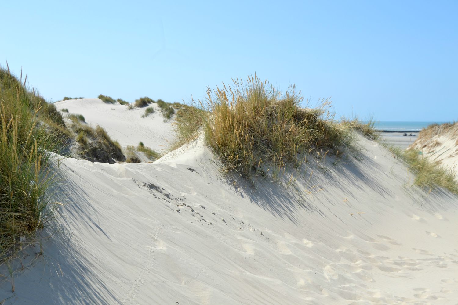 Le sentier d'accès à la mer - Picardie - Maman à tout Faire